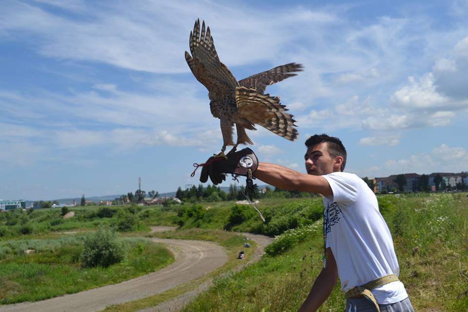 Sprijina - Animale | Centru De Soimarit, Sibiu, Județul Sibiu